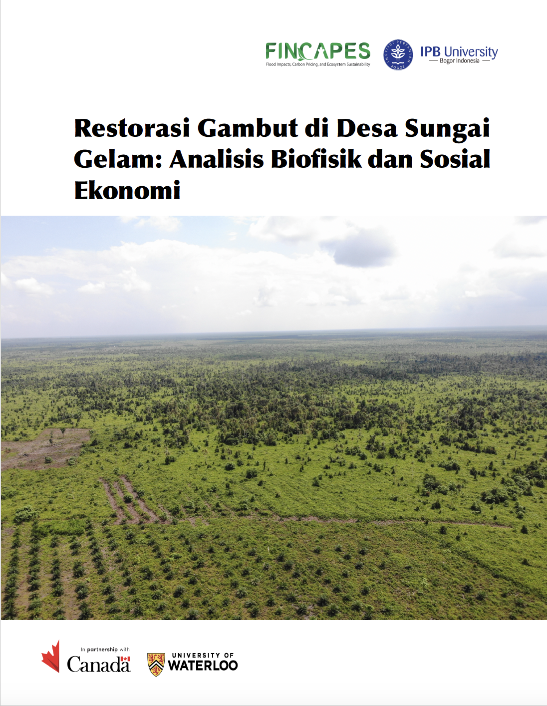 Restorasi Gambut di Desa Sungai Gelam: Laporan Analisis Biofisik dan ...