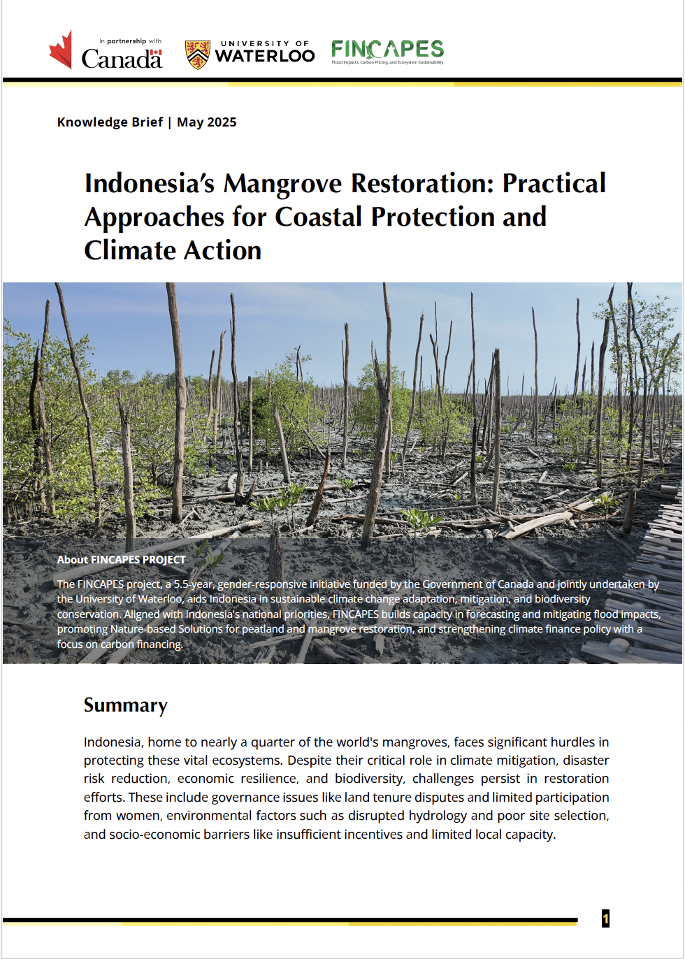 Indonesia’s Mangrove Restoration: Practical Approaches for Coastal ...