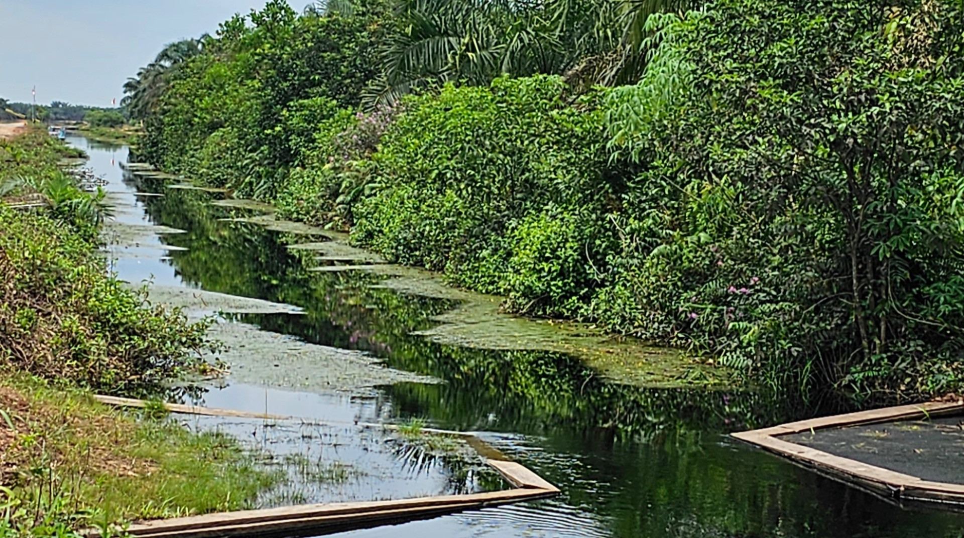 Advancing Climate Action in Indonesia: The FINCAPES Initiative on ...